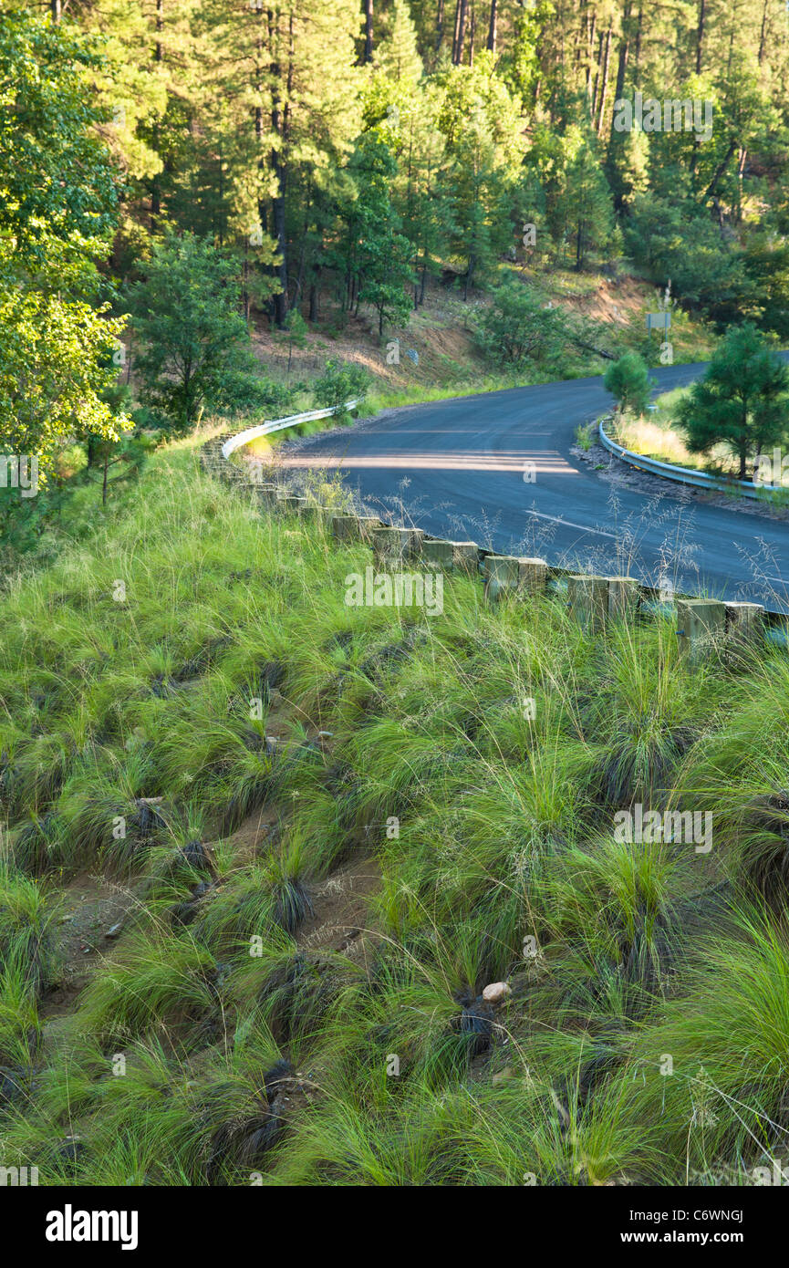 Arizona highway 288 hi-res stock photography and images - Alamy