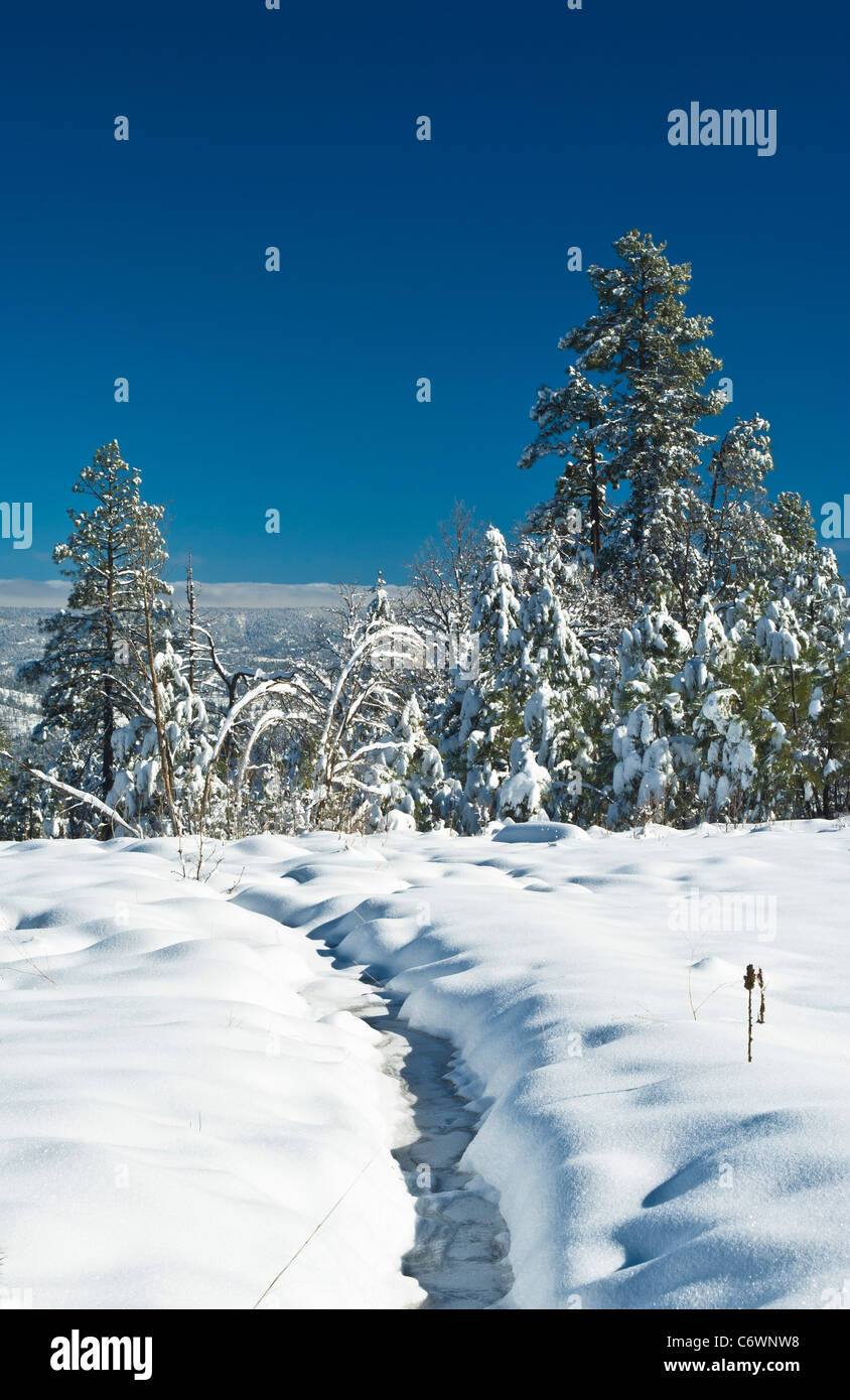 Heavy rim hi-res stock photography and images - Alamy