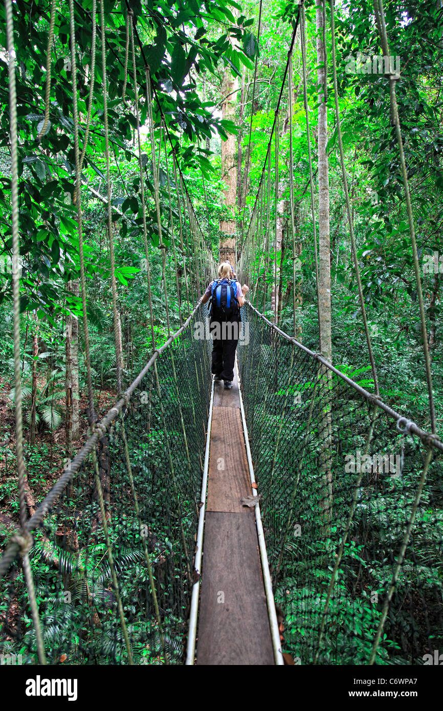 Canopy bridge hi-res stock photography and images - Alamy