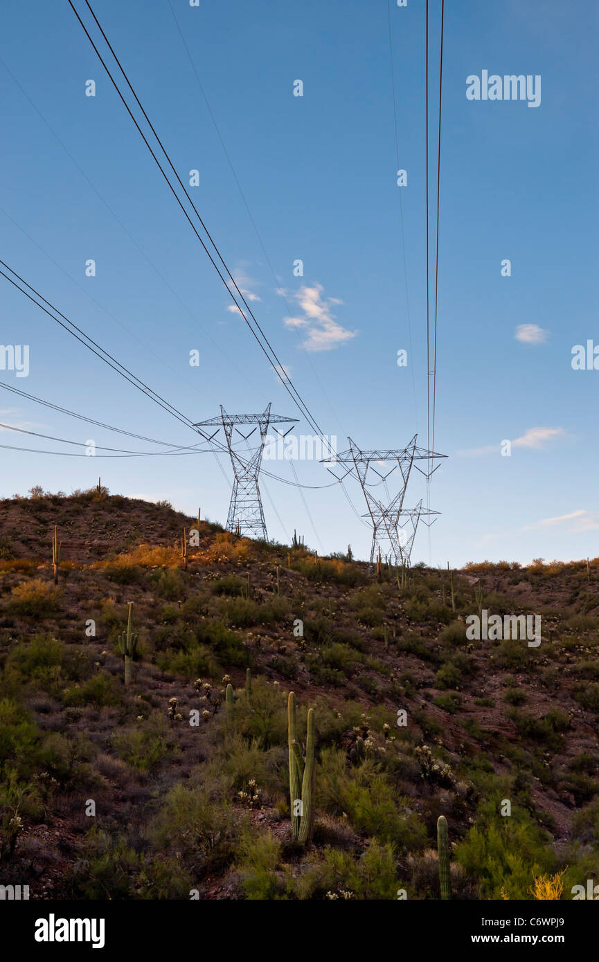 Transmission lines cut across the Sonoran Desert near Roosevelt Lake ...