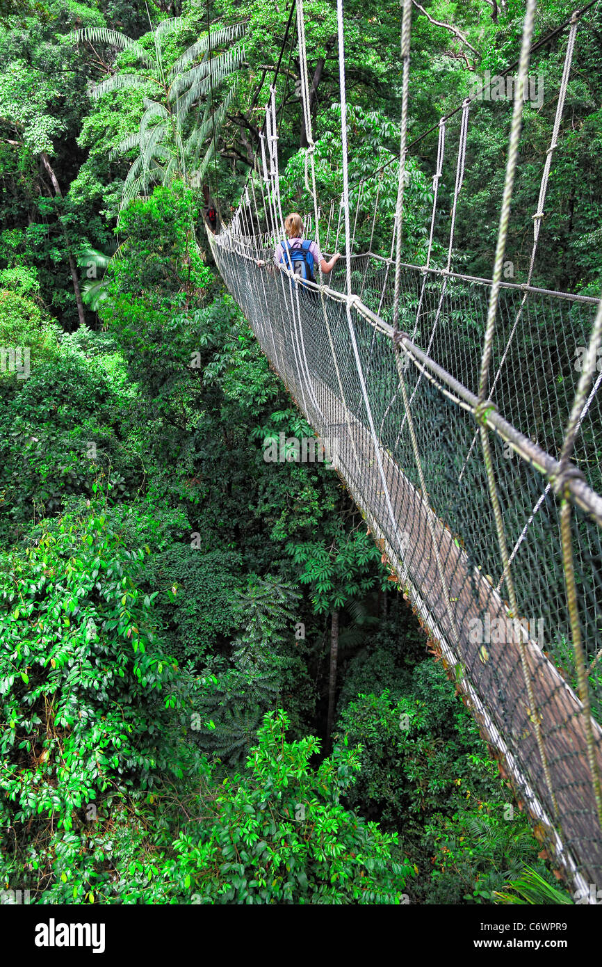 Canopy bridge hi-res stock photography and images - Alamy