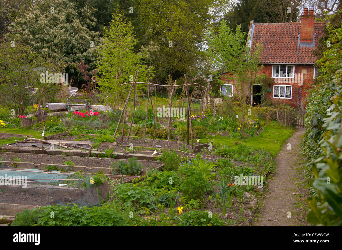 English country cottage with vegetable patch Stock Photo - Alamy