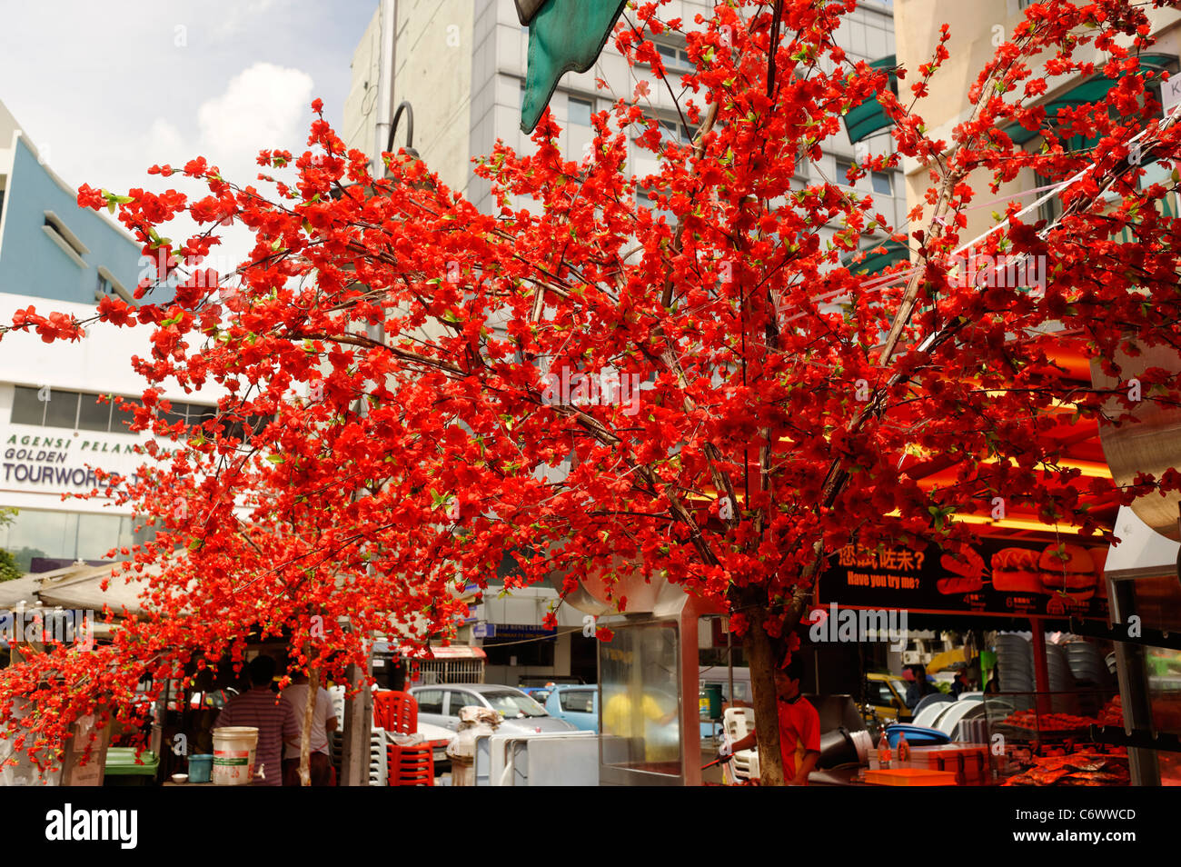 Burning red tree in the centre of Jalan Alor, Kuala Lumpur. Malaysia ...