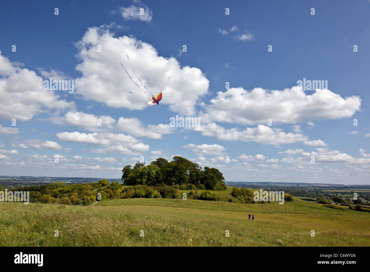 Wittenham clumps hi-res stock photography and images - Alamy