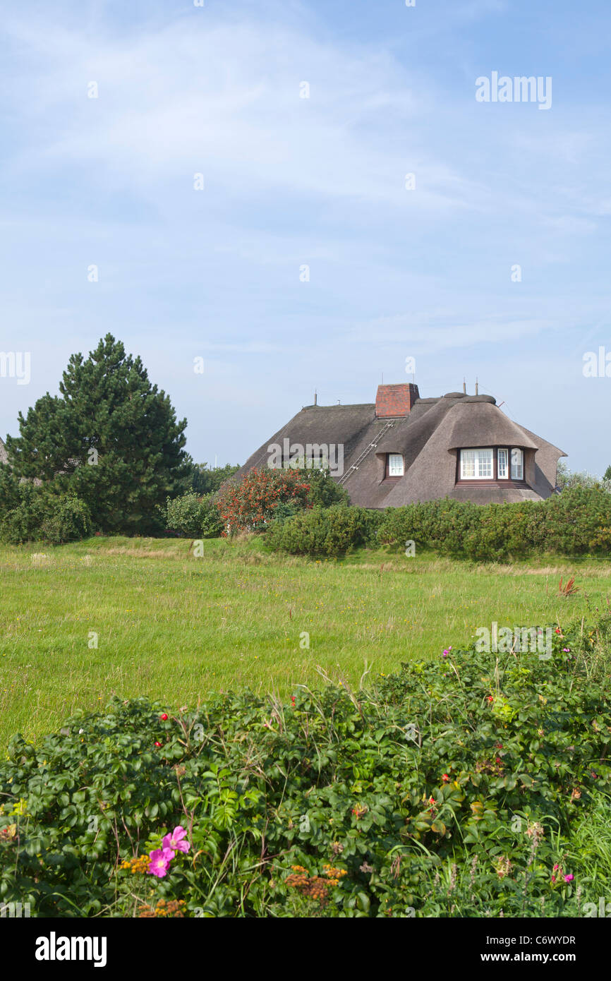 Thatched roof house sylt island hi-res stock photography and images - Alamy