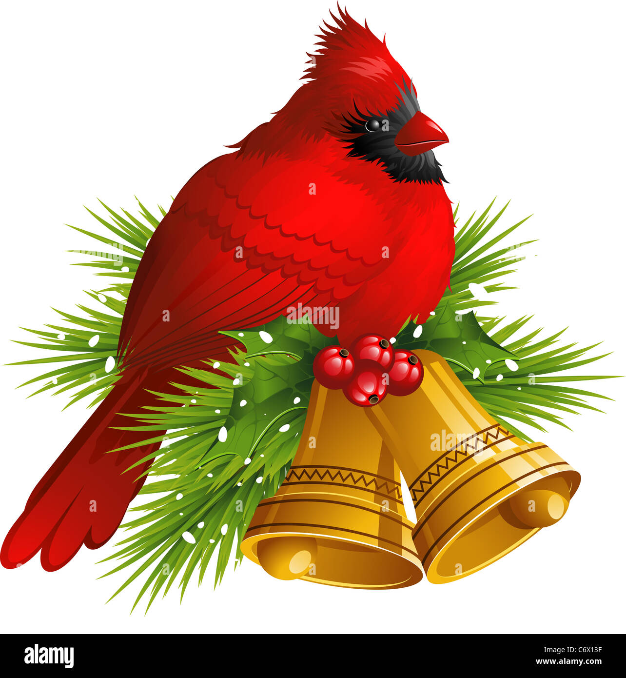 Cardinal bird Cut Out Stock Images & Pictures - Alamy