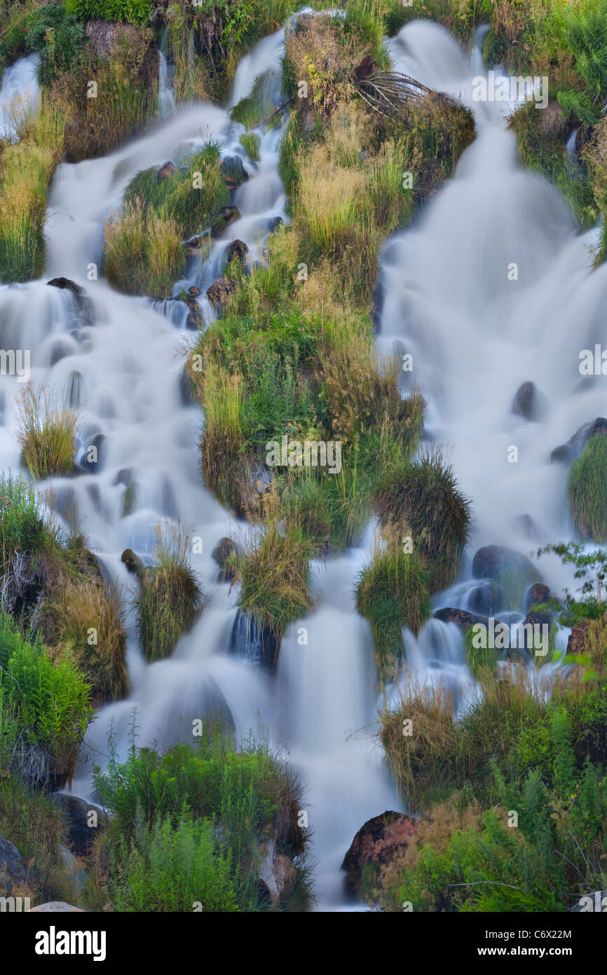 Niagara Springs Falls, Twin Falls, Idaho, USA Stock Photo - Alamy