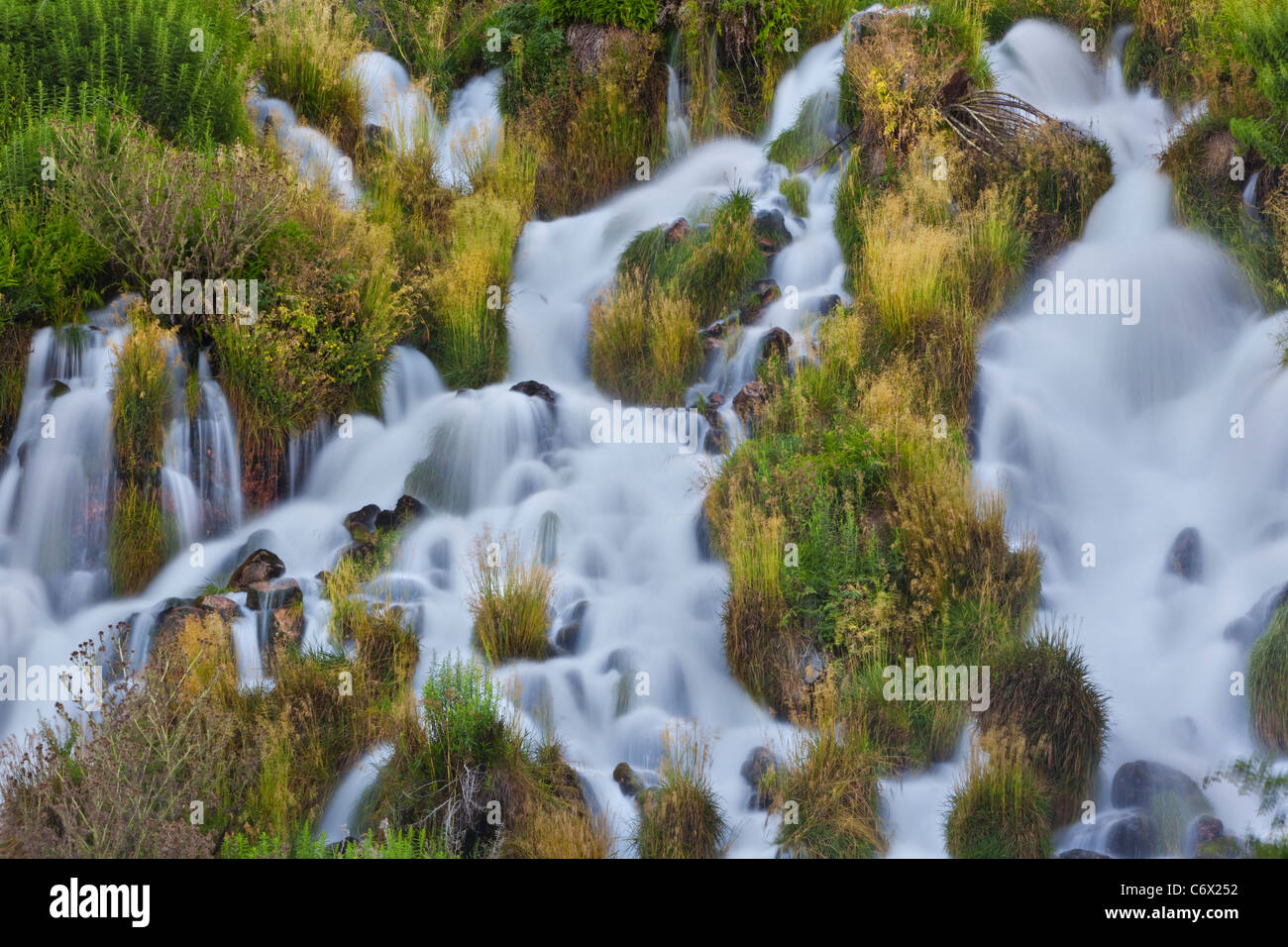 Niagara springs hi-res stock photography and images - Alamy