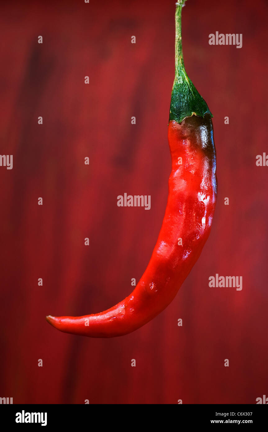Mexican chile peppers red pepper Stock Photo - Alamy