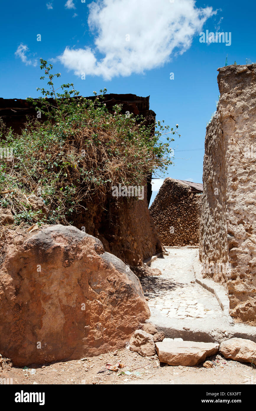 Traditional architecture in the walled city of Harar in Eastern ...
