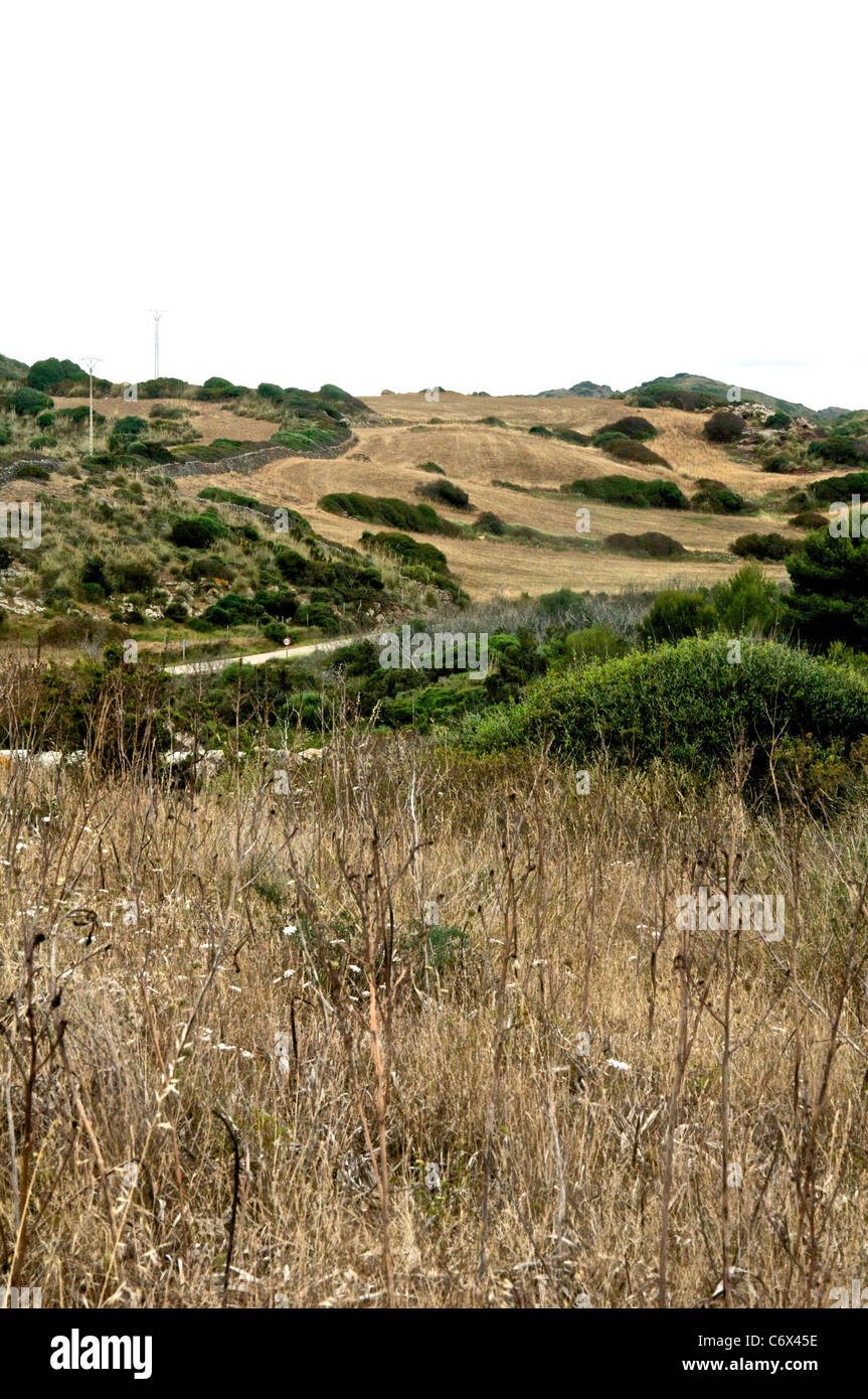 Flora and fauna of menorca hi-res stock photography and images - Alamy