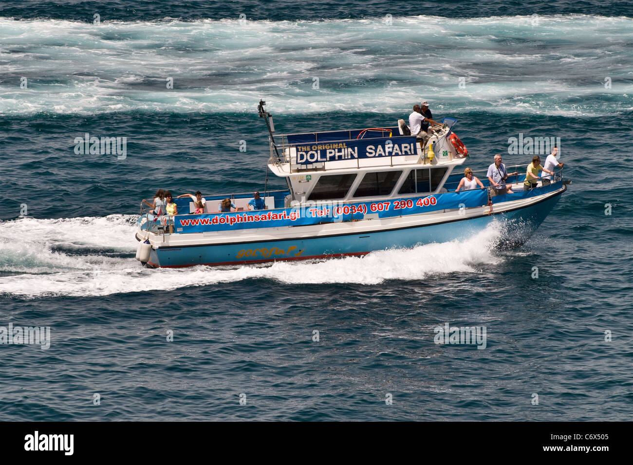 Dolphin watch gibraltar hi-res stock photography and images - Alamy