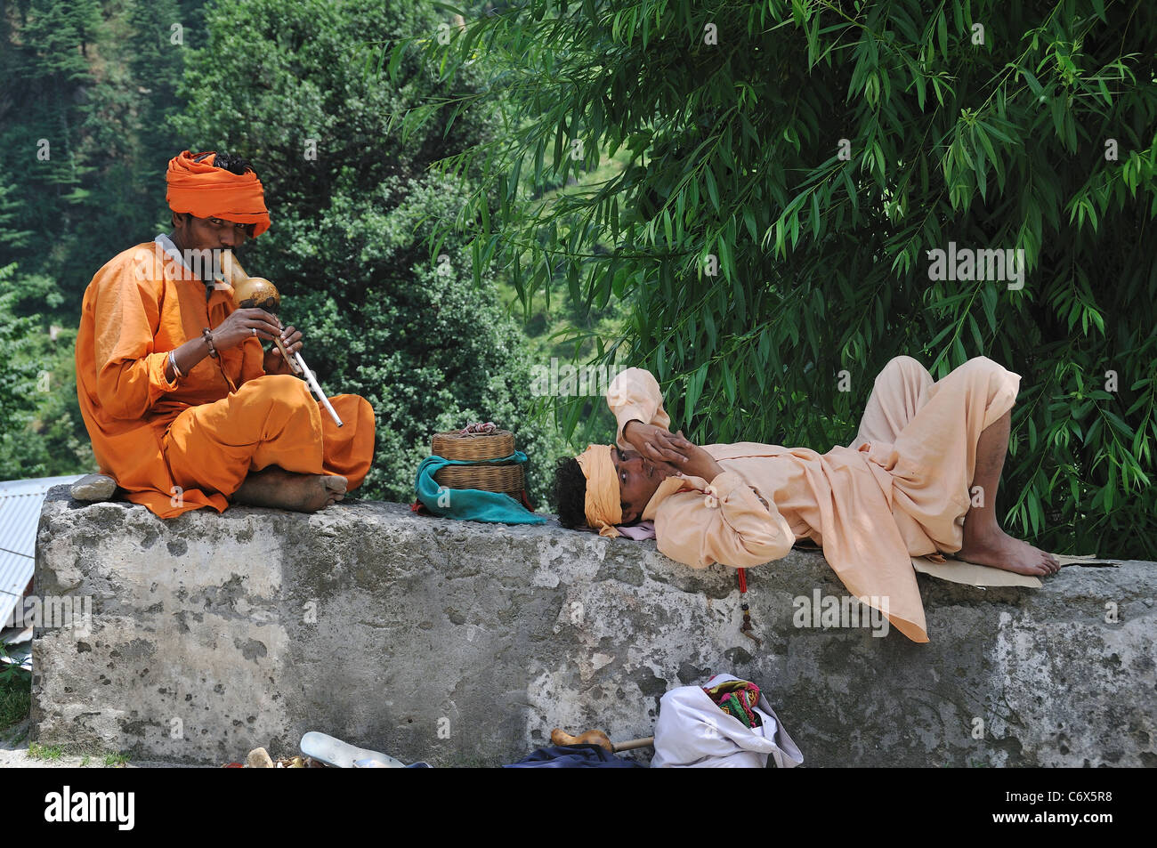 Sad snake hi-res stock photography and images - Alamy