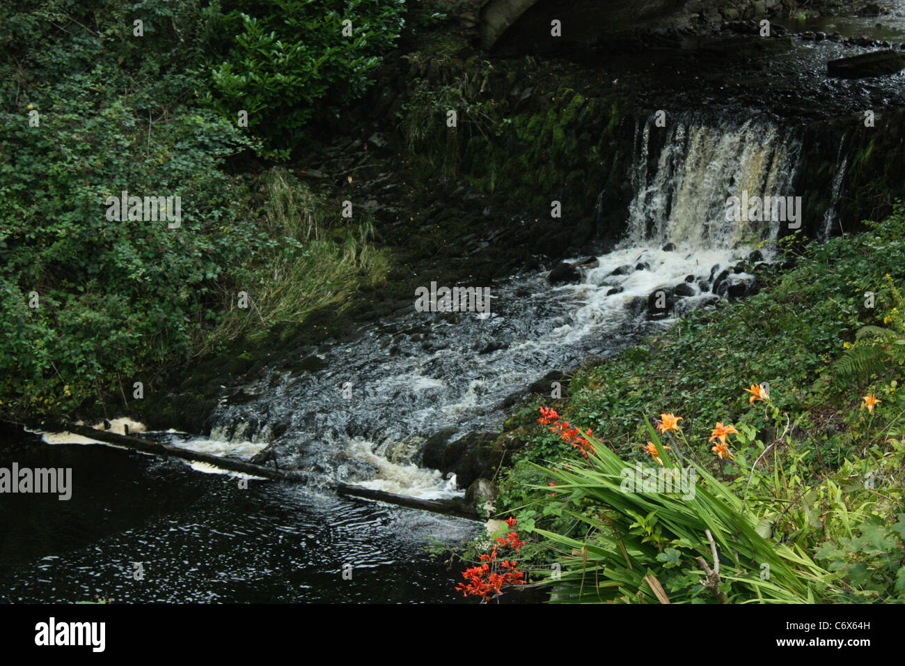 Way of the roses cycle hi-res stock photography and images - Alamy