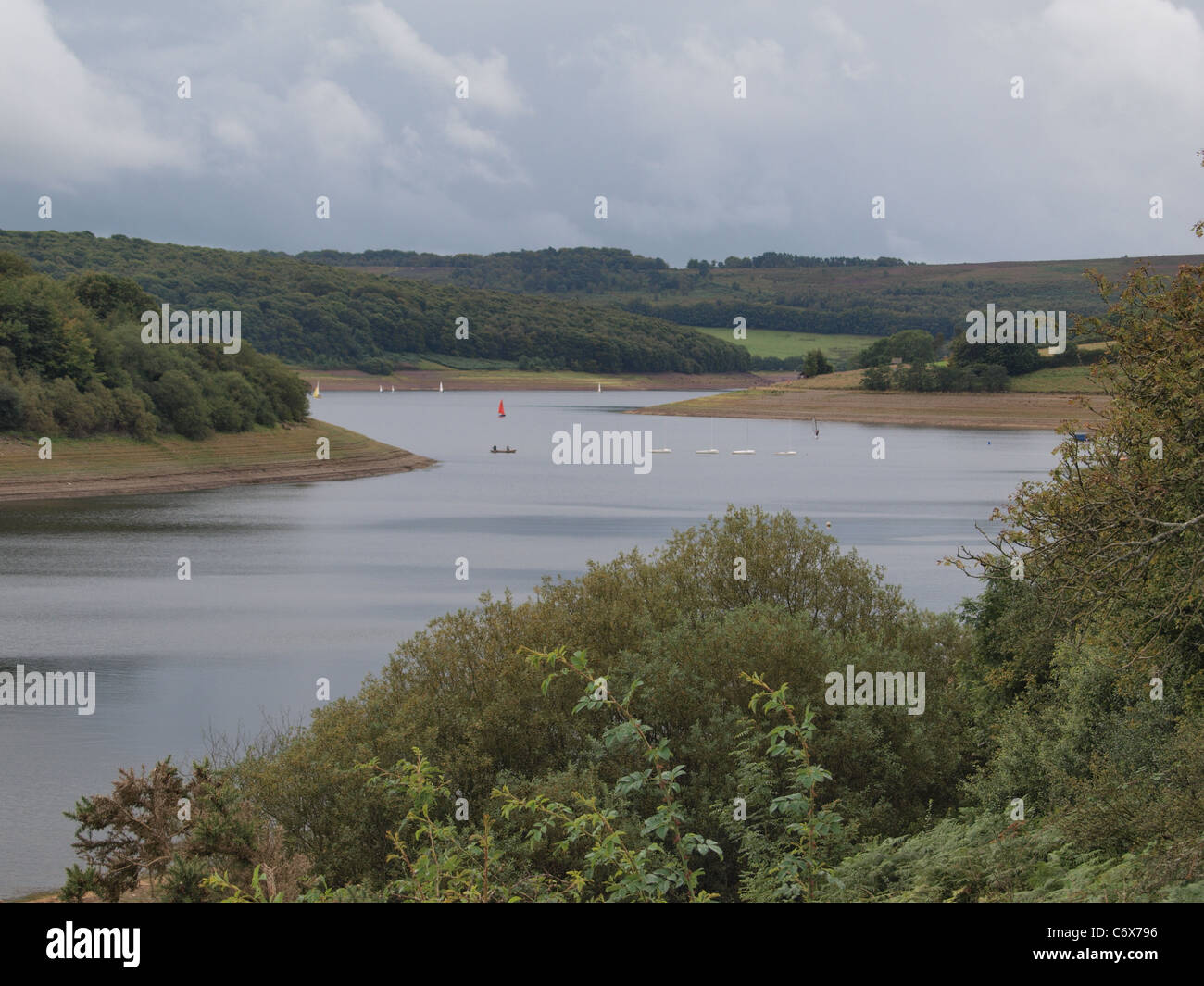 Arm of Wimbleball Lake in MidSummer. Somerset. UK Stock Photo - Alamy