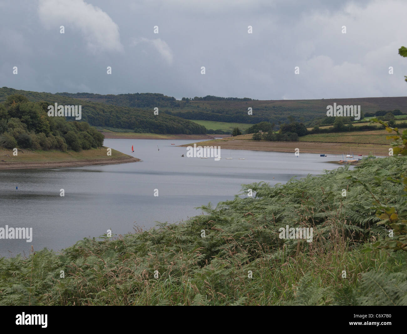 Arm of Wimbleball Lake in MidSummer. Somerset. UK Stock Photo - Alamy