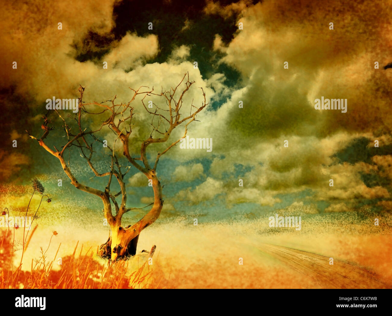 Lonely dry tree and dramatic sky on grungy background Stock Photo - Alamy