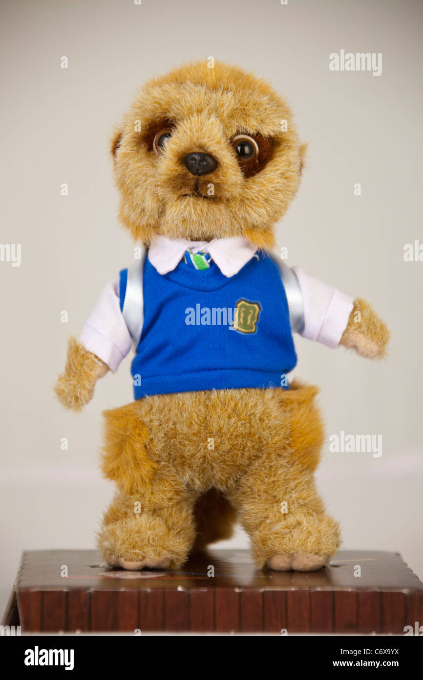 Bogdan, a young meerkat student at Meerkovo, plush toy from advertising ...