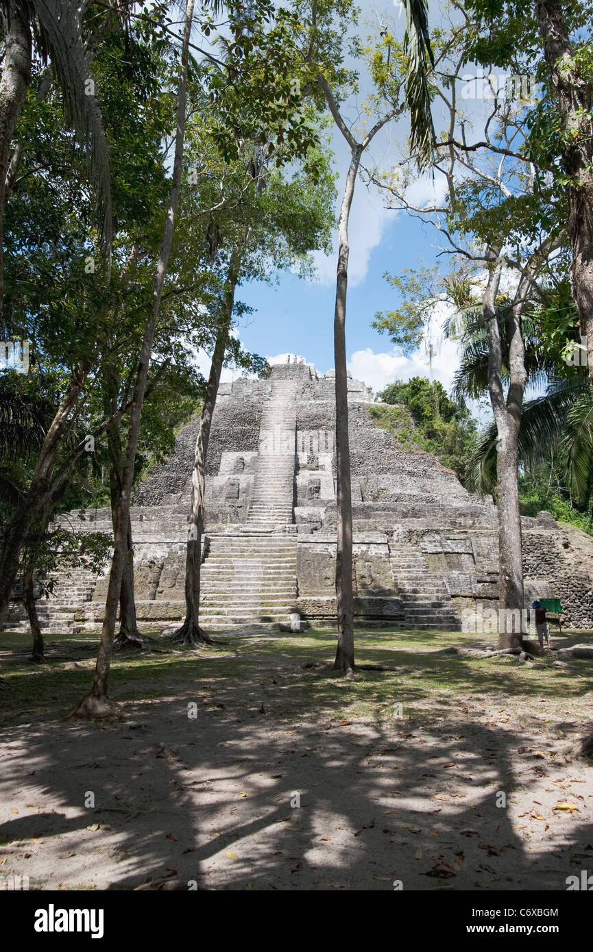 The High Temple through the trees at Lamanai, Belize Stock Photo - Alamy