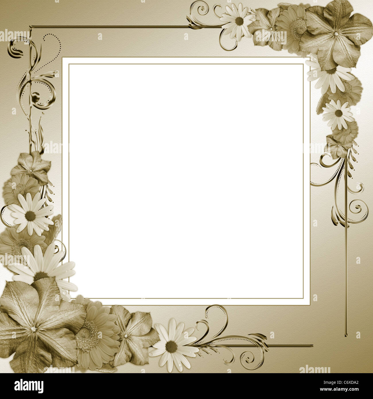 decorative flowers frame Stock Photo - Alamy