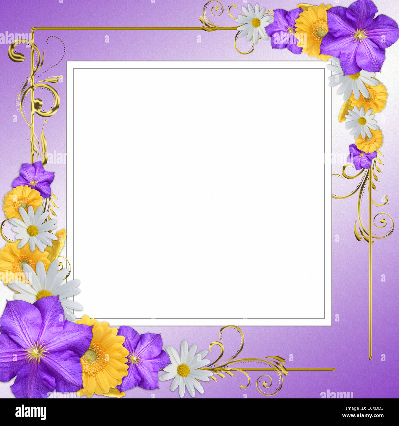 Daisy flowers edge frame hi-res stock photography and images - Alamy