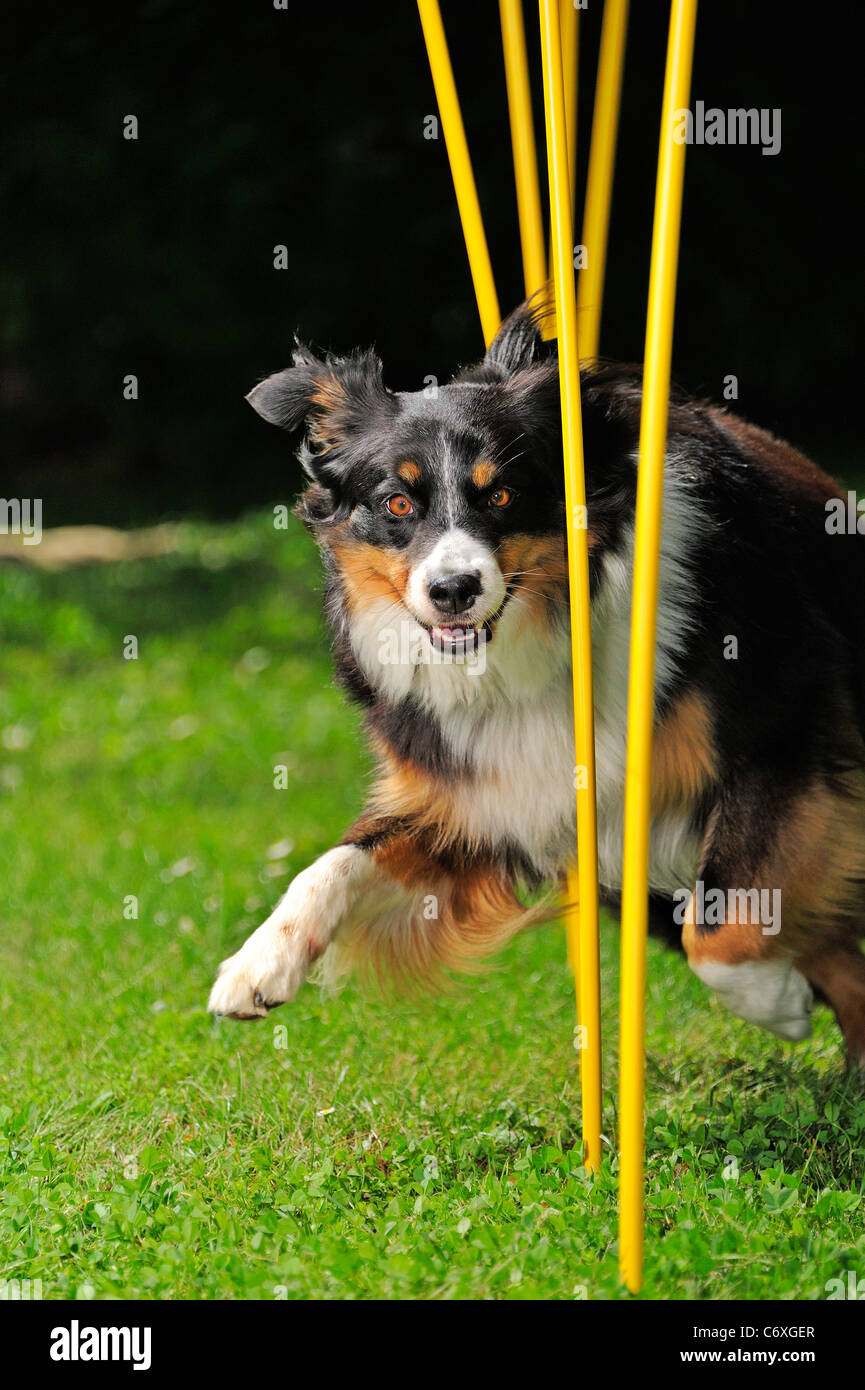 Intelligence cross hi-res stock photography and images - Alamy