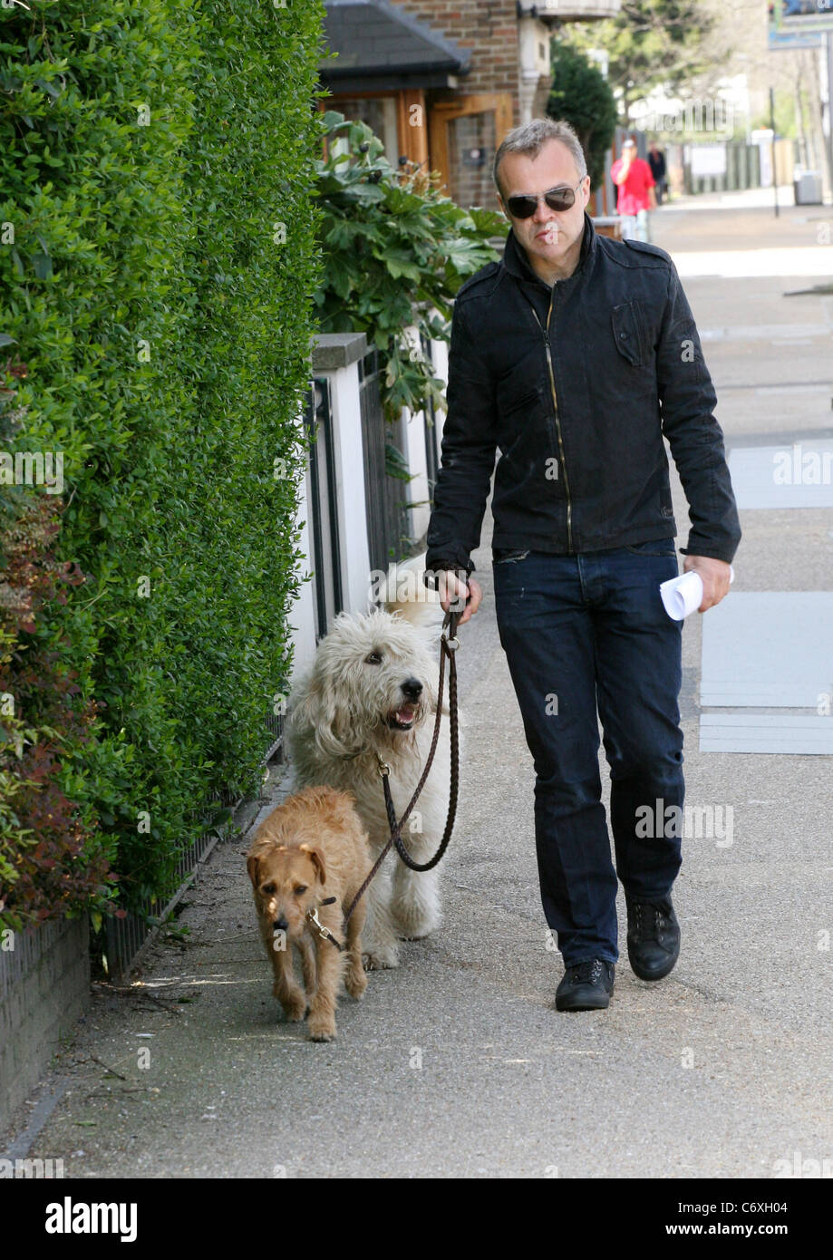 Graham norton seen walking his dogs home london hi-res stock ...