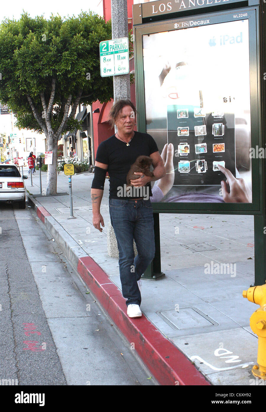 Mickey rourke dog hi-res stock photography and images - Alamy