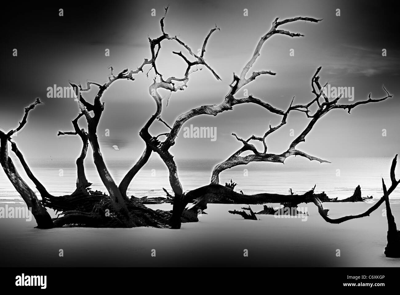 Altered landscape hi-res stock photography and images - Alamy