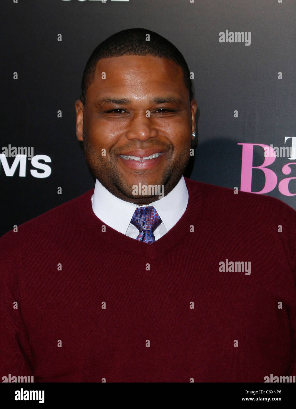 Anthony Anderson Los Angeles premiere of 'The Back-Up Plan' held at ...
