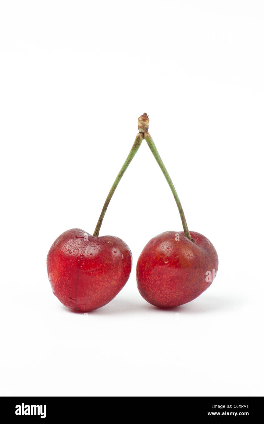 Two sweet cherries on white background Stock Photo - Alamy