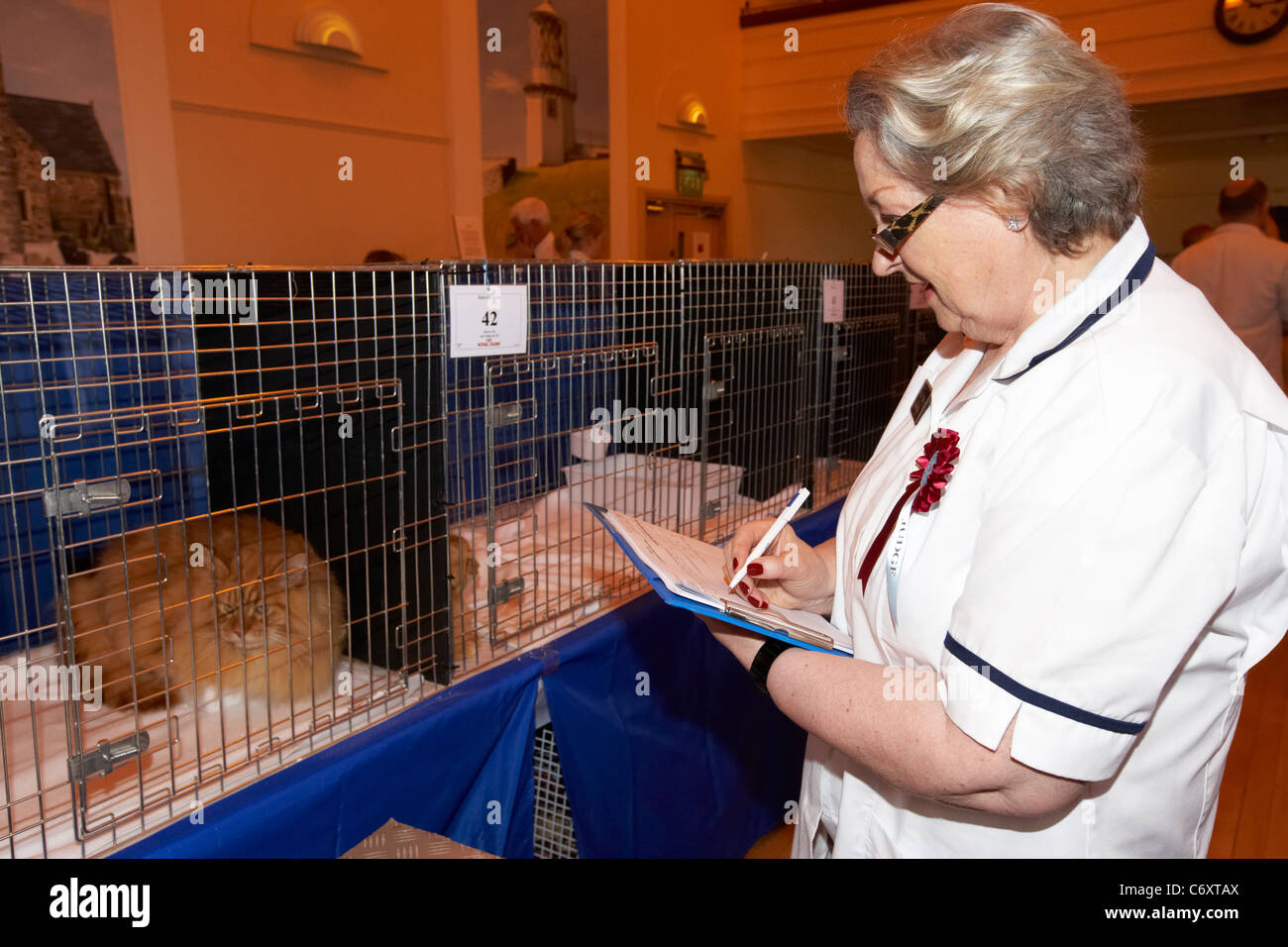 Breed judge hi-res stock photography and images - Alamy