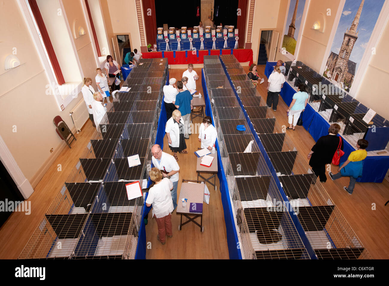 judges walking round cat show in a hall in the uk Stock Photo - Alamy