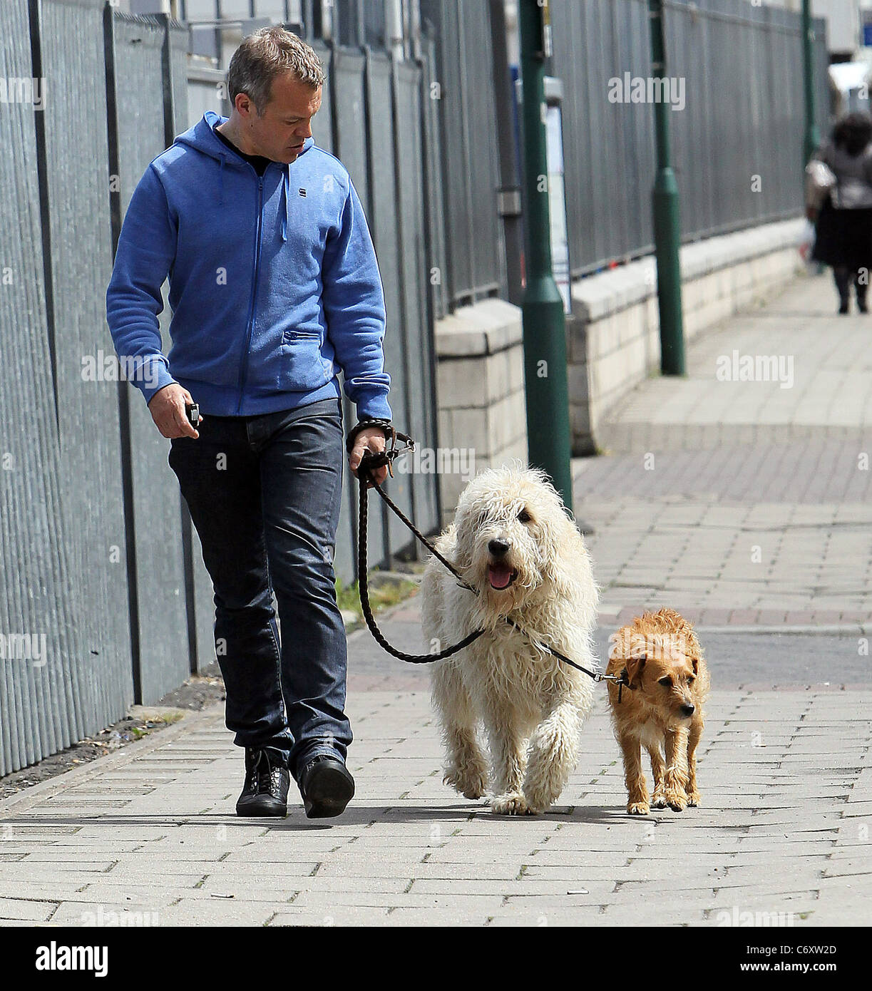 Graham norton dogs hi-res stock photography and images - Alamy