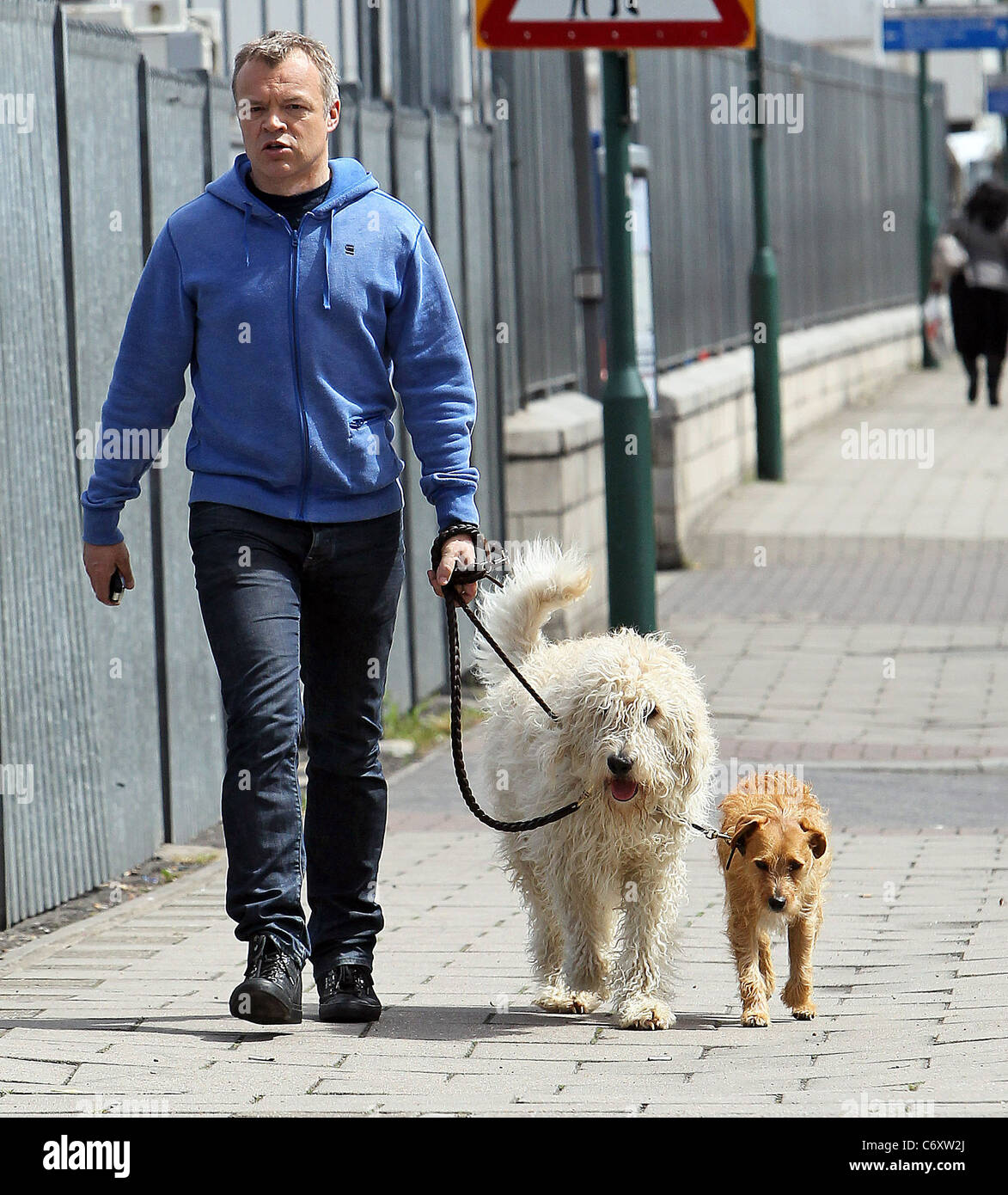 Graham norton dogs hi-res stock photography and images - Alamy