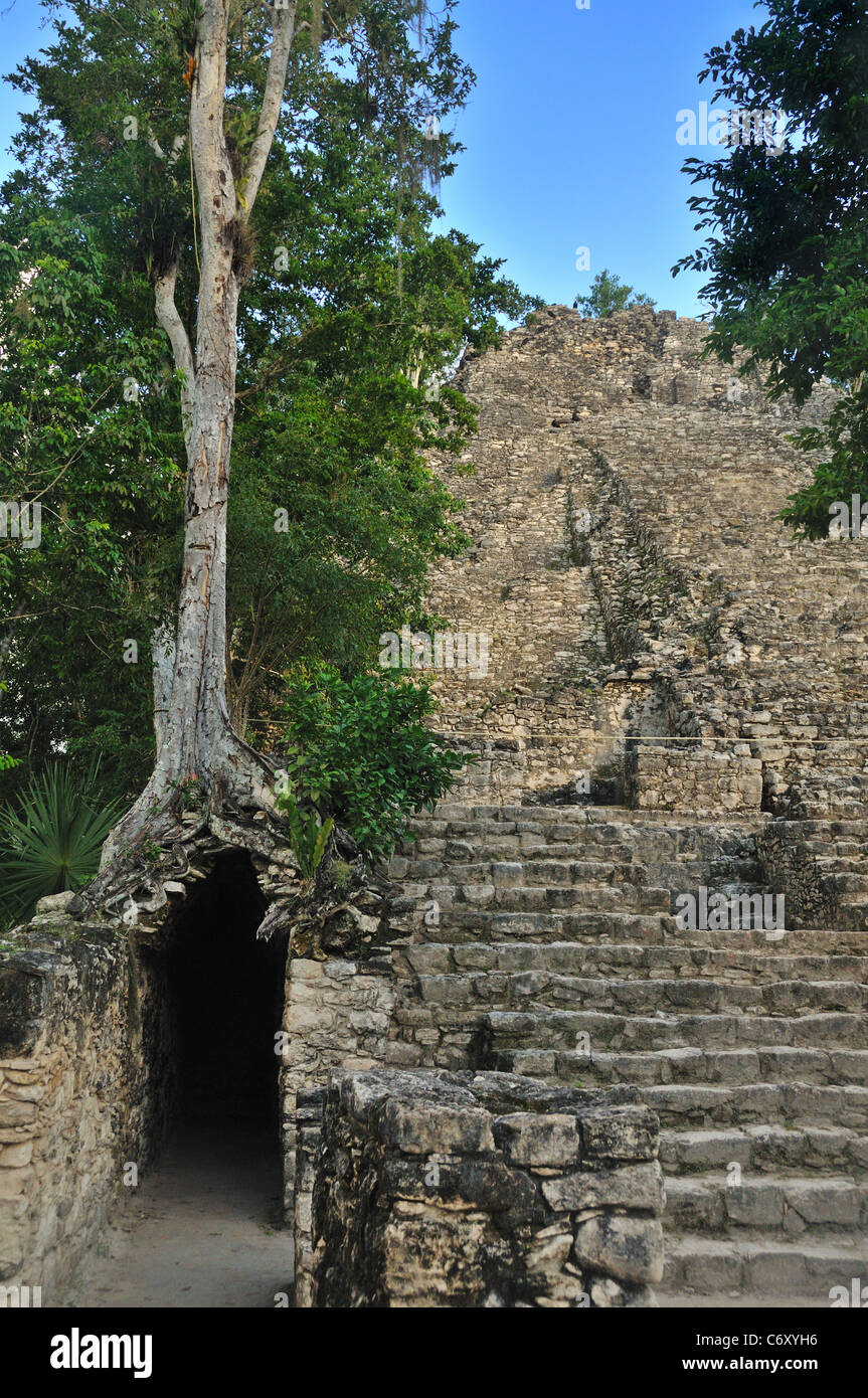 Coba ruins hi-res stock photography and images - Alamy