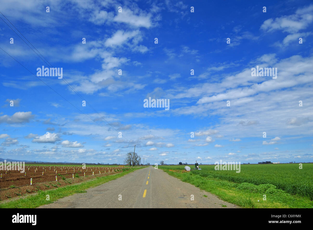 Country farm road hi-res stock photography and images - Alamy