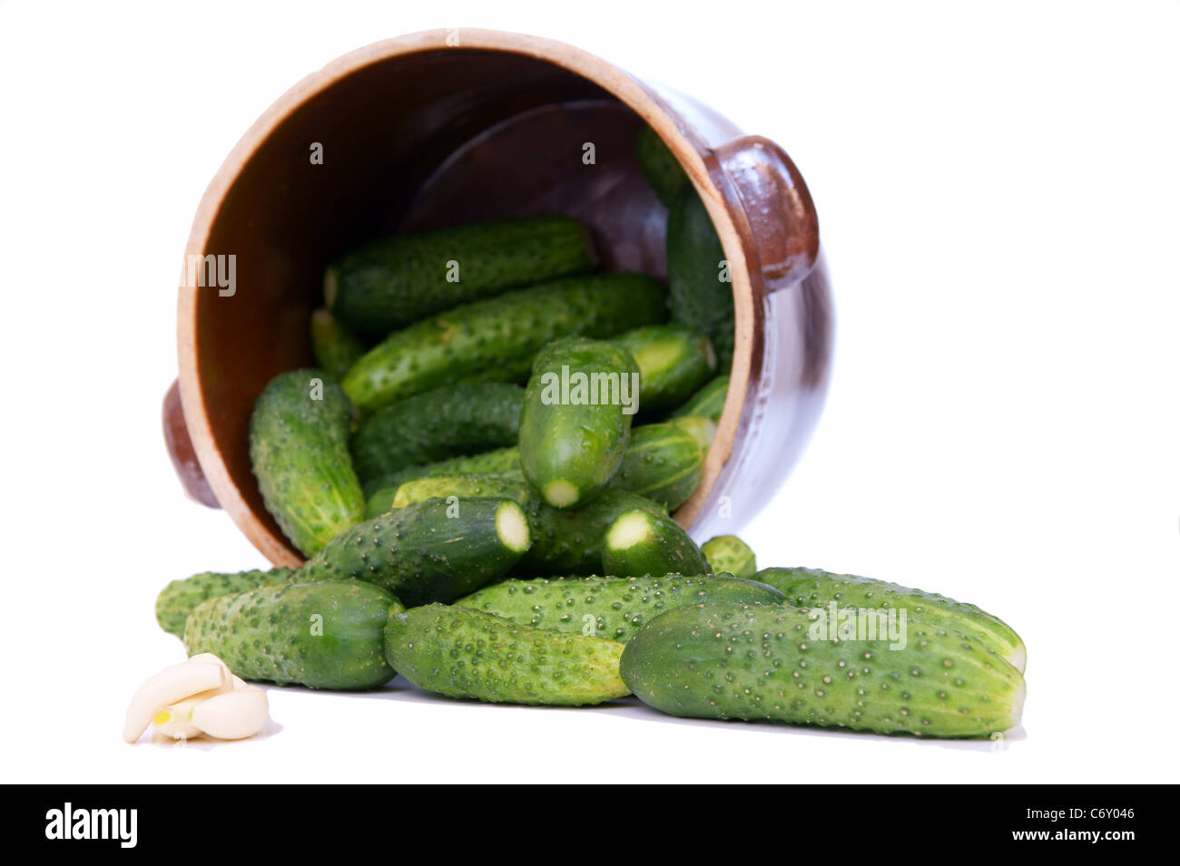 Pot of cucumbers - ready to pickled cucumber, clove of garlic and ...