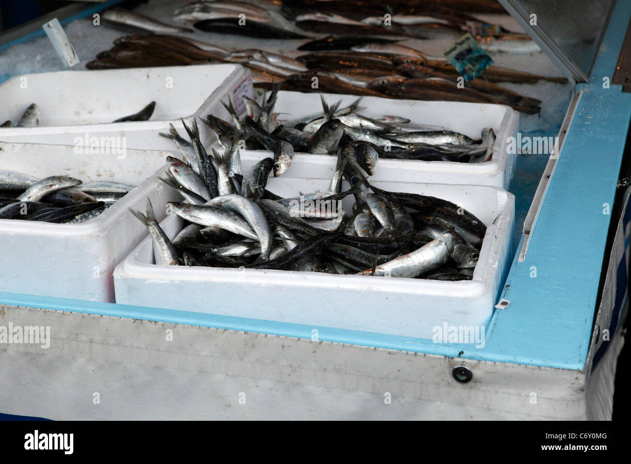 Fresh sardines catch hi-res stock photography and images - Alamy