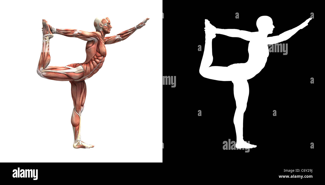 Male human figure hi-res stock photography and images - Alamy