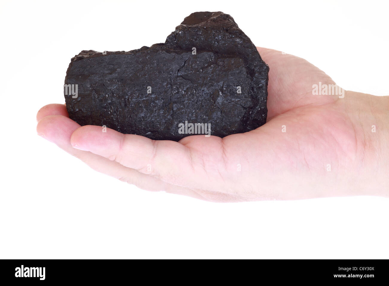 Pieces of coal in palm carbon, coal Stock Photo - Alamy
