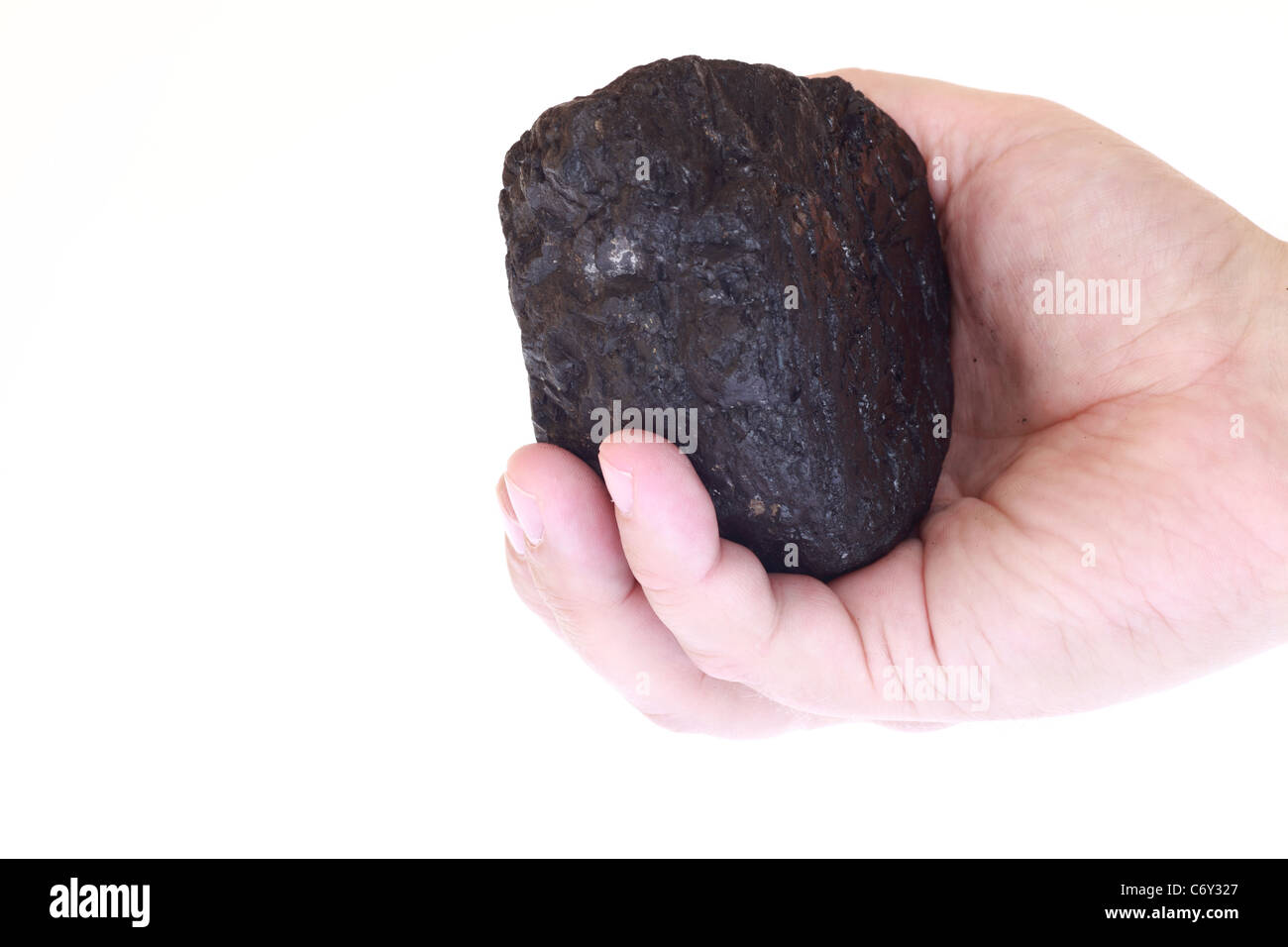 Pieces of coal in palm carbon, coal Stock Photo - Alamy