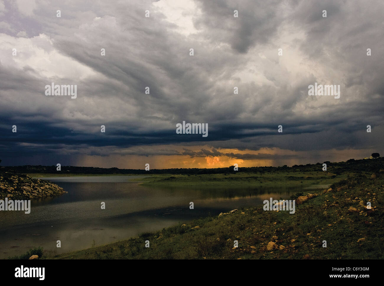 Monsoon wildlife hi-res stock photography and images - Alamy