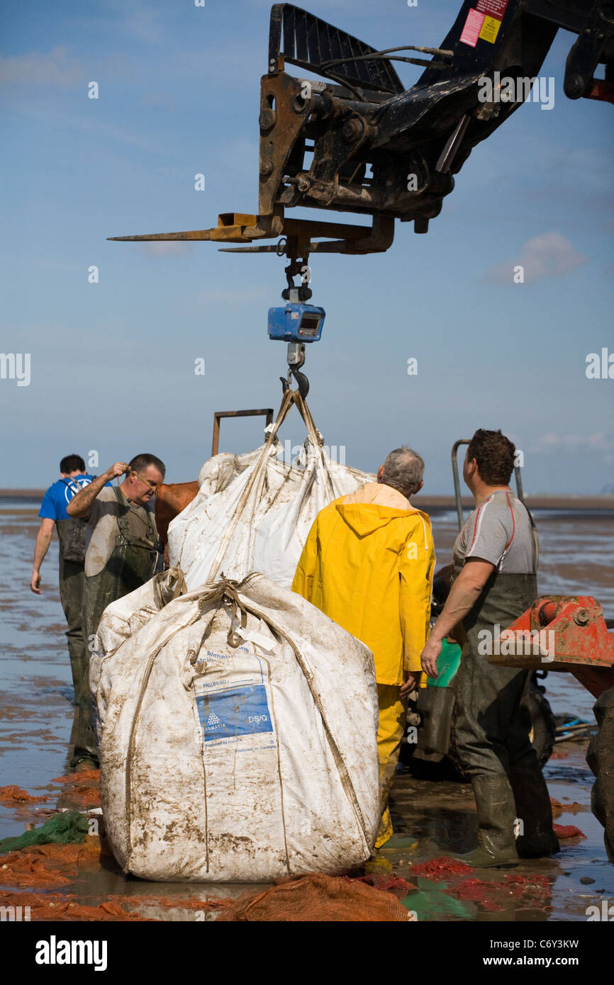 Adult atvs hi-res stock photography and images - Alamy