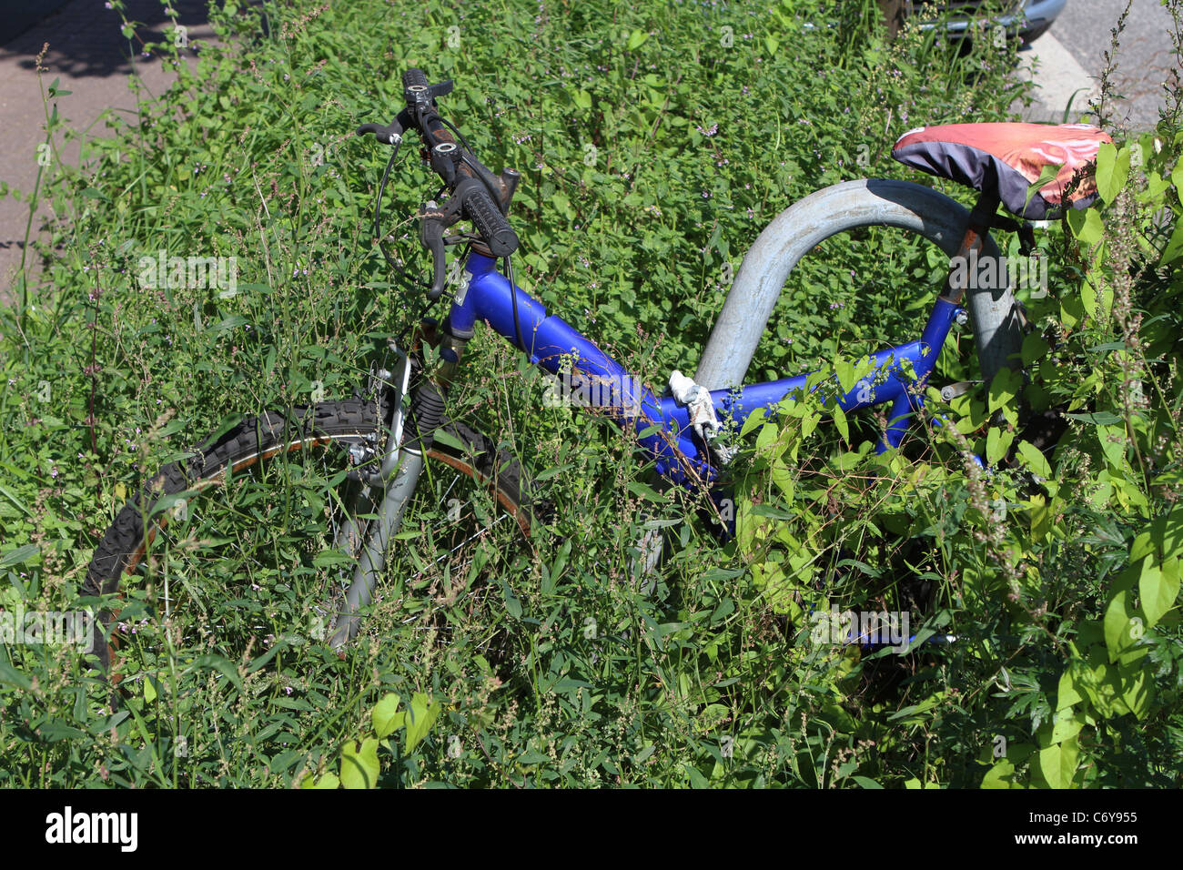 Left bike overgrown by plants Stock Photo - Alamy