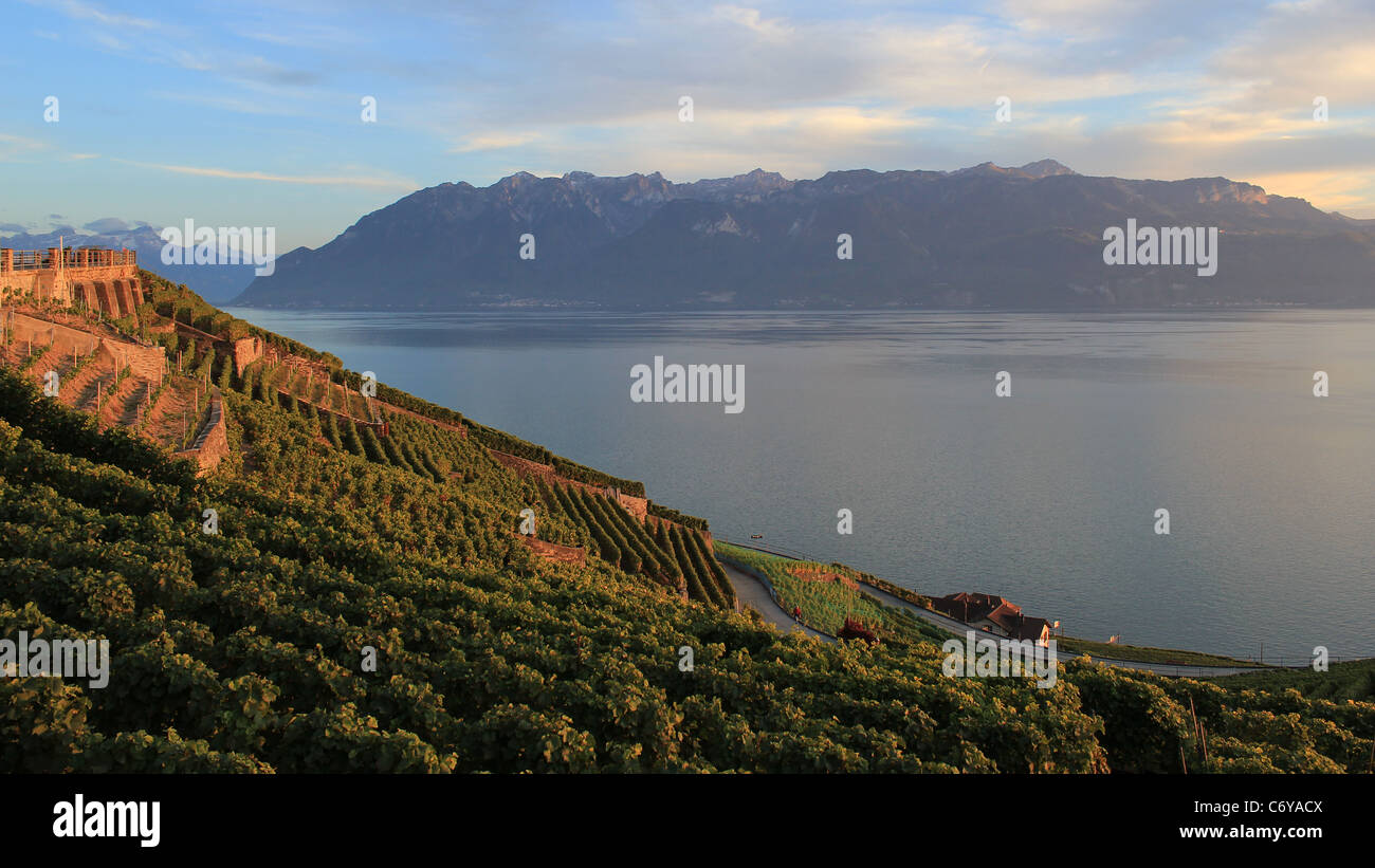 Cully switzerland hi-res stock photography and images - Alamy