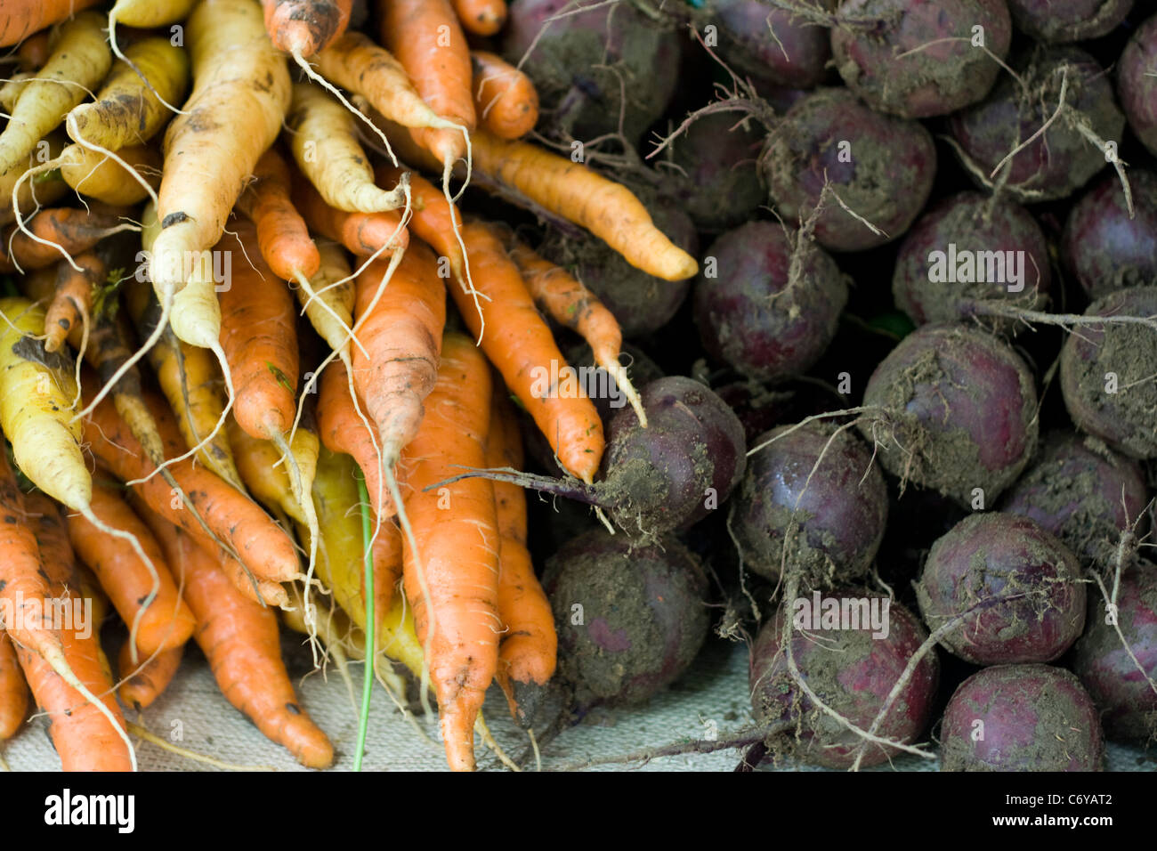 Cheltenham Farmers Market - carrots and beetroot Stock Photo - Alamy