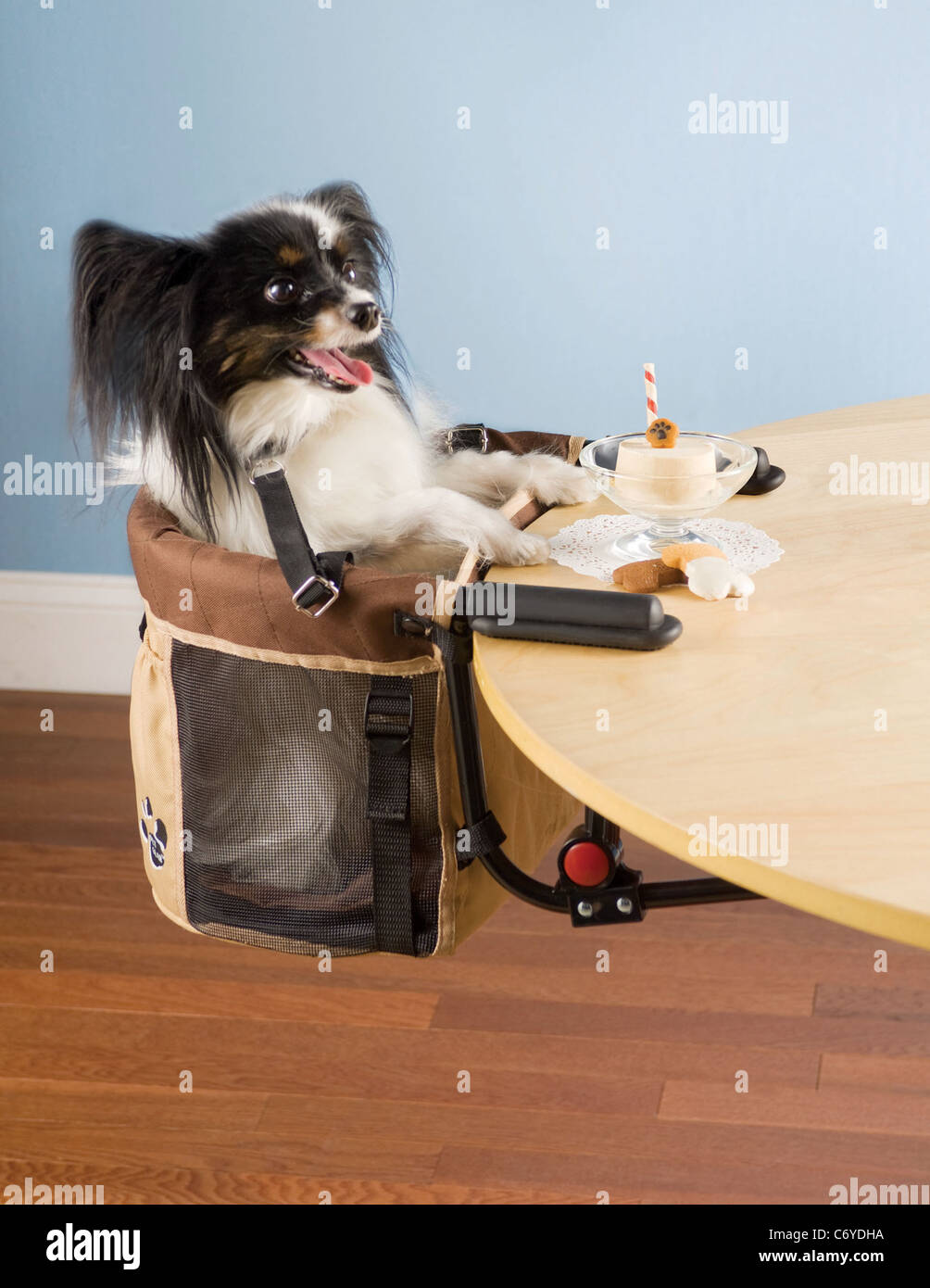 The Pet High Chair Continuing its 162-year history of offering the Best ...