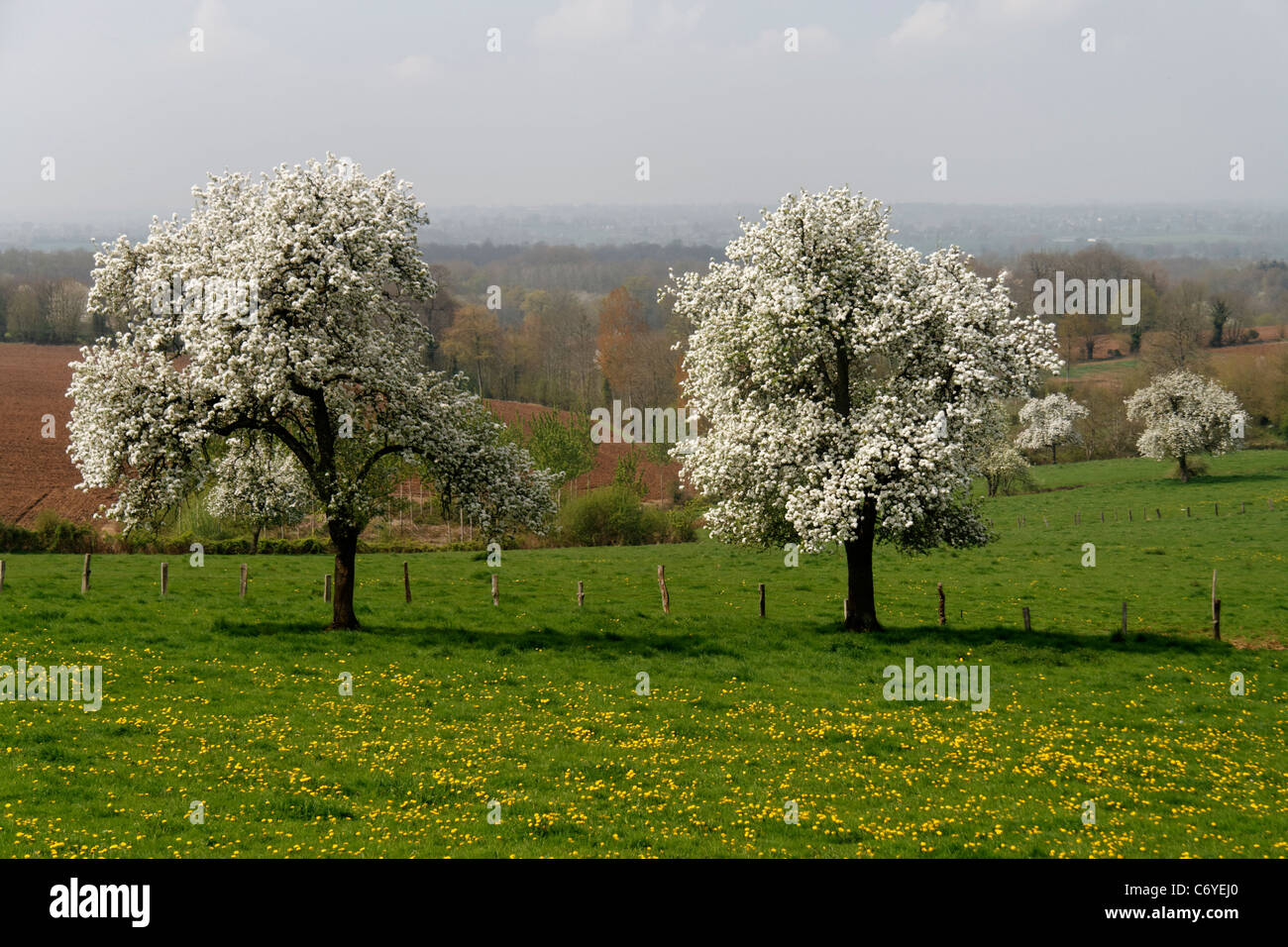 Orne normandy cider hi-res stock photography and images - Alamy