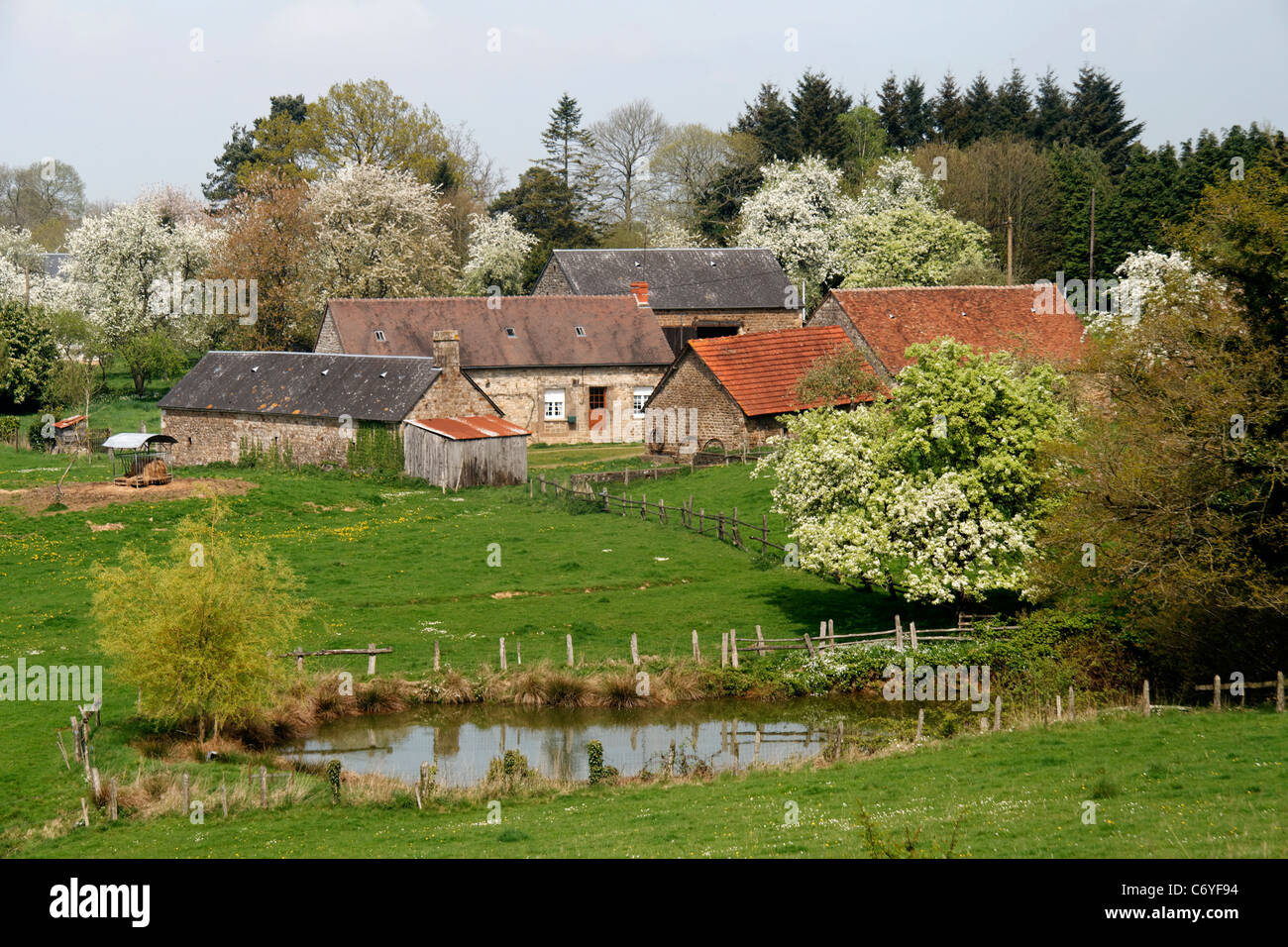 A farm with a small pond at spring, Orne, Normandy, France Stock Photo ...